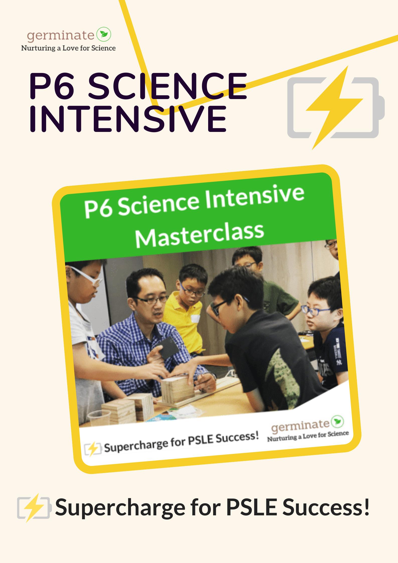 P6 Science Intensive Masterclass | Germinate Learning