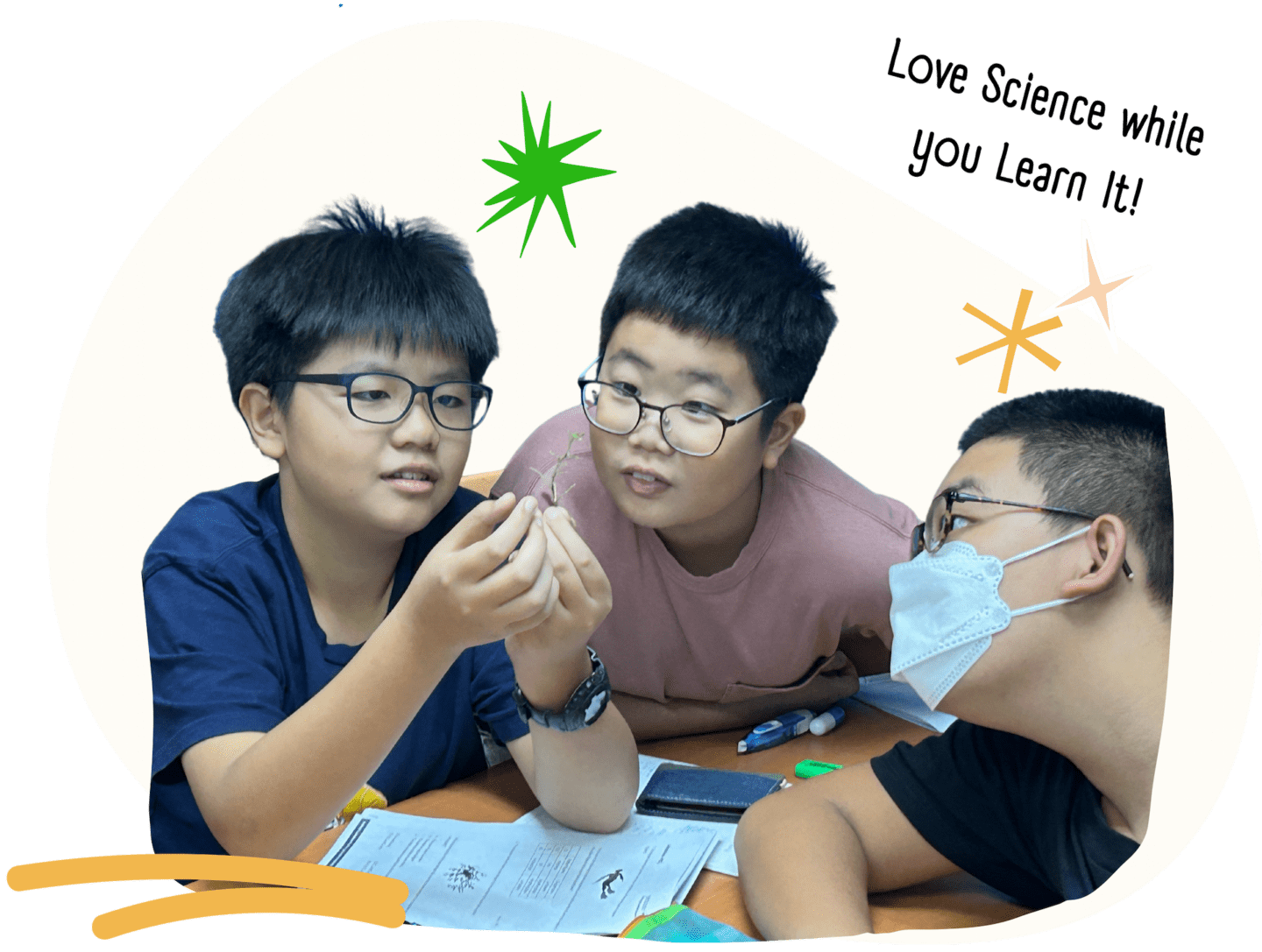 Regular Classes Germinate Learning