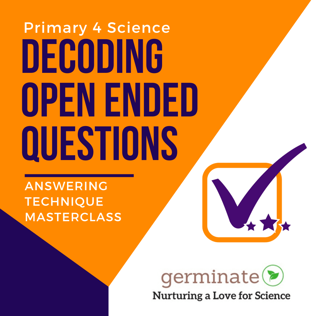 P4 Decoding Open Ended Question Masterclass | Germinate Learning